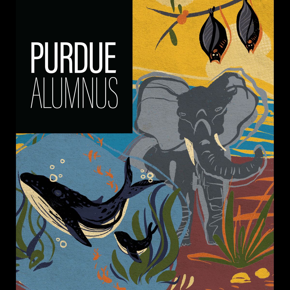 Purdue Alumnus Fall 2024